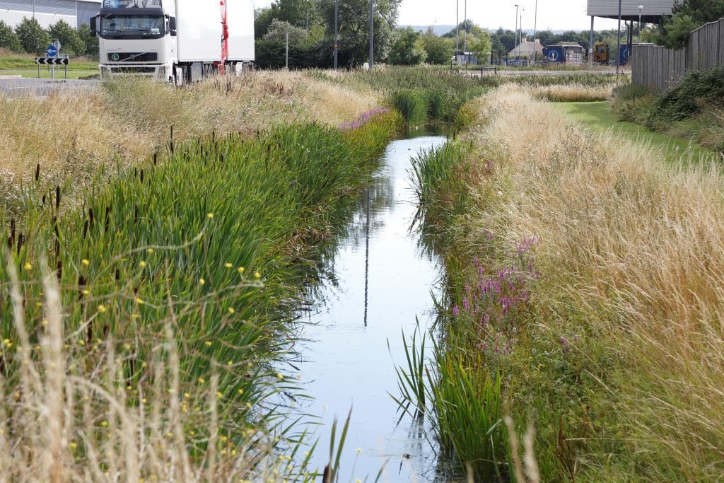 Why is sustainable drainage not being implemented? - Motion